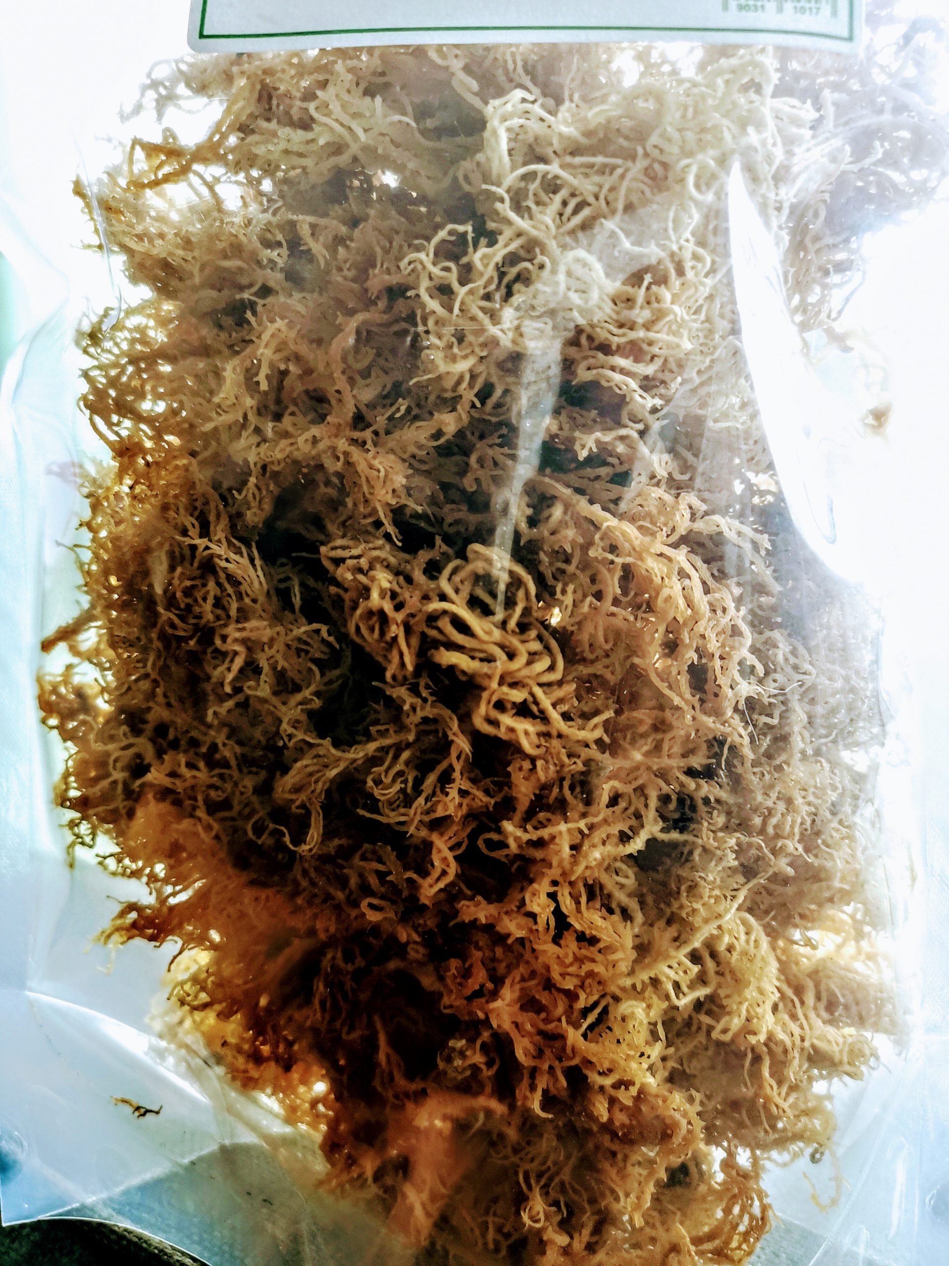 Dr Sebi Grade Sea Moss (Ocean Grown) – Nature Earth Store